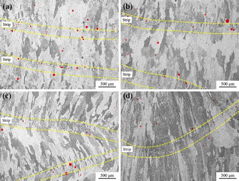 Metallographic Images In The Middle Region Of The Multi Layer Walls Download Scientific Diagram