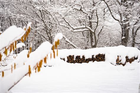 კახეთის მხარე კახეთის მხარე Added A New Photo