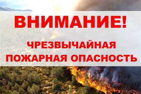 В ближайшие дни сохранится чрезвычайная пожарная опасность Лента новостей Крыма
