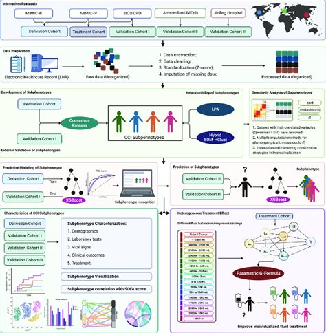 Schematic Of The Study Workflow The Schematic Of The Workflow Of The Schematic Of The Study Workflow The Schematic Of The Workflow Of The