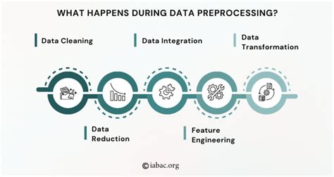 What Is Data Preprocessing Iabac