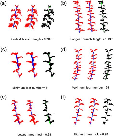 Figure 1 From Automatic Branch Leaf Segmentation And Leaf Phenotypic Parameter Estimation Of