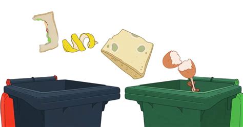 Bin Credible Results Bayside Bin Fluencers Bayside City Council