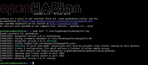 Mqtt Broker Oh 41 Mqtt Openhab Community