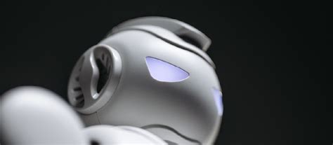 Meet Dr Stevan The Enthusiastic Ai Developer With A Passion For