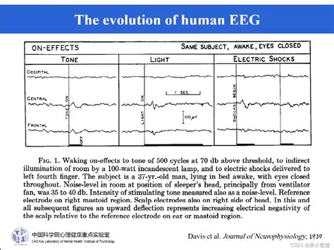 脑电数据分析方法与应用实例简介 Eeg Processing And Feature 1 Csdn博客