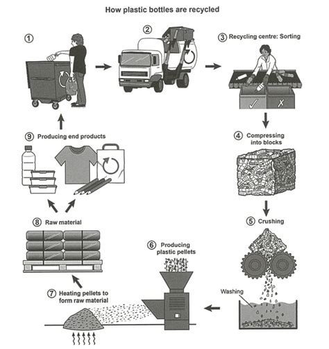 Ielts Writing Task 1 The Diagram Shows The Process For Recycling Plastic Bottles Ielts Assistance