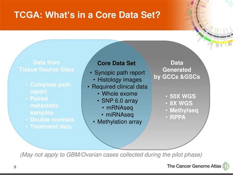Ppt Tcga Past Present And Future Powerpoint Presentation Free