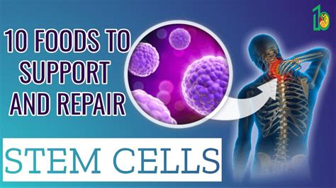 Meniscus Stem Cell Repair