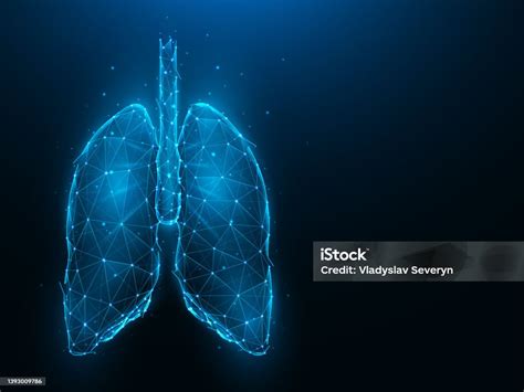 짙은 파란색 배경에 인간 폐의 추상화 다각형 벡터 그림 인간의 호흡 기관 낮은 폴리 디자인 의료 배너 템플릿 또는 배경 폐에 대한 스톡 벡터 아트 및 기타 이미지 Istock