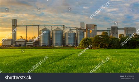 117121 농업 공장 이미지 스톡 사진 및 벡터 Shutterstock