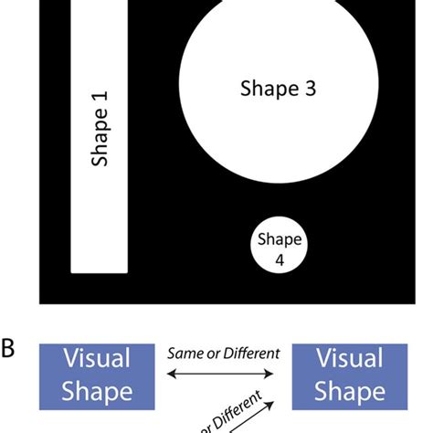Shape Matching Task Schematics A The Shapes Tested In The Shape Download Scientific Diagram