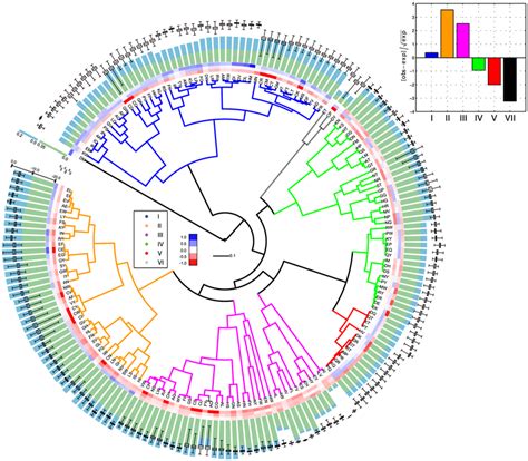 Hierarchical Clustering Of Phenotype Spaces Generated By Binary