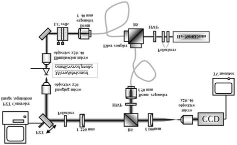 10 Schematic Of The High Resolution Interference Microscope Based On A Download Scientific