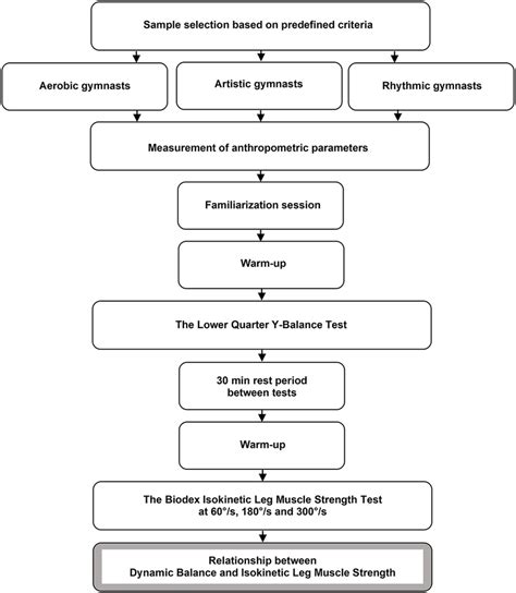 Flowchart Of The Experimental Protocol Download Scientific Diagram