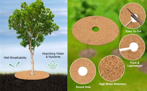 Casa De Amor Coco Coir Mulch Ring Mat 6 Inches Pack Of 10 Natural
