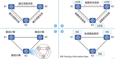 rip、ospf rip是什么封装的 csdn博客