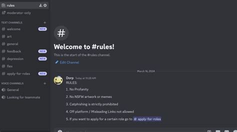 Create Design And Add Bots To Your Discord Servers By Yakiqauckytechs Fiverr