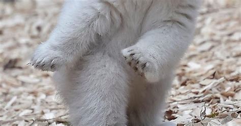 Imgur 14 Birthday Album On Imgur