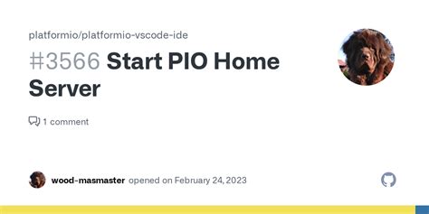 Start Pio Home Server · Issue 3566 · Platformioplatformio Vscode Ide · Github