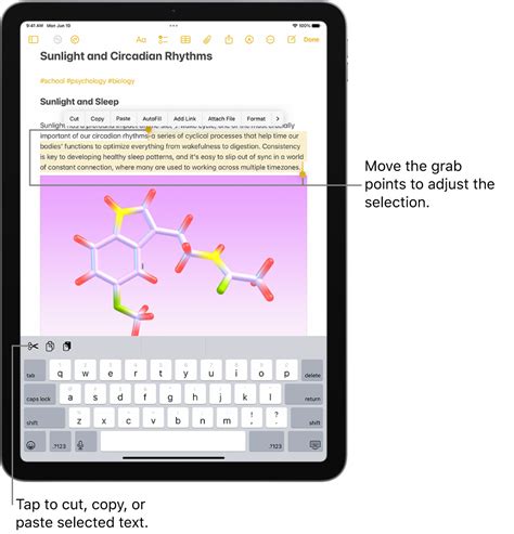 Select Cut Copy And Paste Text On Ipad Apple Support