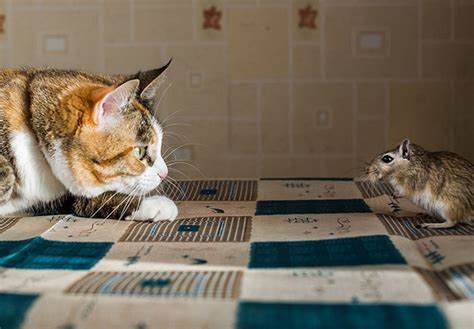 Microsoft Taps Azure To Elevate Windows Advanced Threat Protection Redmondmag Com