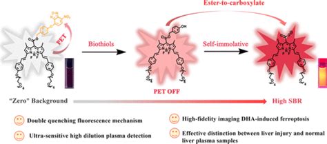 Molecular Engineering Of A Doubly Quenched Fluorescent Probe Enables