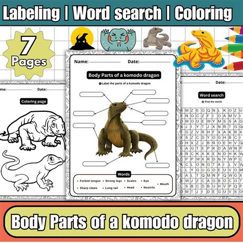 Komodo Dragon Body Parts Labeling Diagram Worksheets Wordsearch Coloring Komodo Anatomy