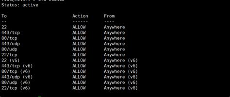Ip能ping通 ，443端口不通 · Issue 764 · Bannedbookfanqiang · Github