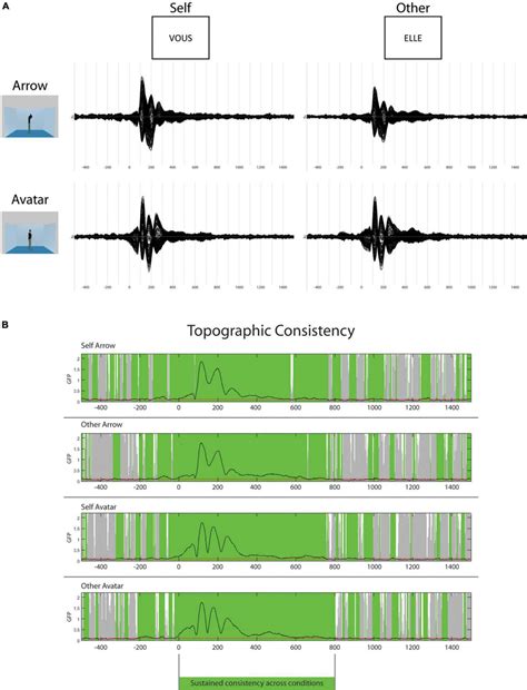 Event Related Potentials Erps And Topography Consistency In The Top