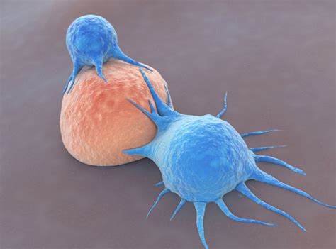Steven Ressler On Linkedin Eliminating A Gene In Regulatory T Cells