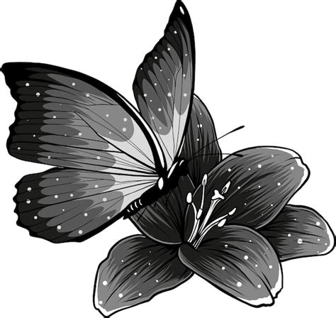 나비 의 윤 ⁇ 그림 ⁇ 터 ⁇ 화 프리미엄 벡터