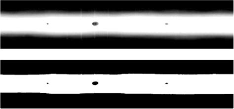Ostu Binarized Segmentation Image Download Scientific Diagram