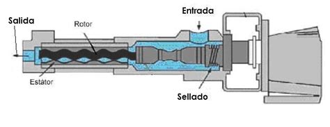 Bomba Rotativa De Tornillo Helicoidal Download Scientific Diagram