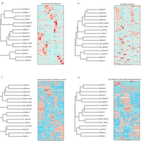 Clustering Of Human And Rat Tissues And Genes Clustering Is Based On Download Scientific
