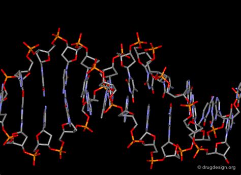 Structural Bioinformatics Drug Design Org