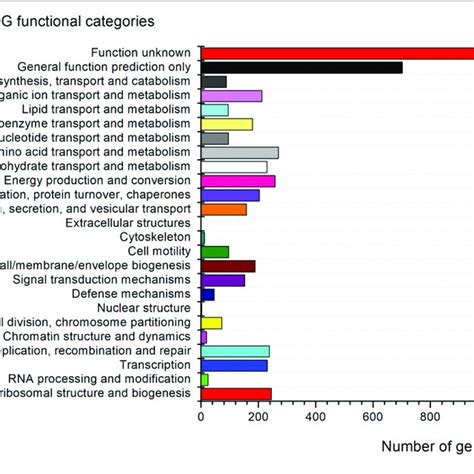 Clusters Of Orthologous Group Cog Functional Classification Of
