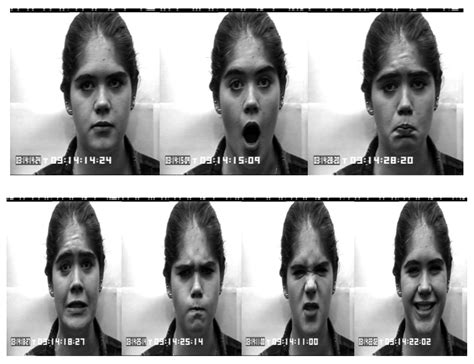 Electronics Free Full Text Improved Facial Expression Recognition Based On Dwt Feature For