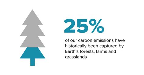 Carbon Sequestration UC Davis