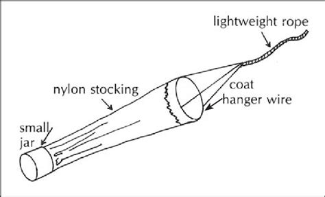 A Student Made Plankton Net Download Scientific Diagram