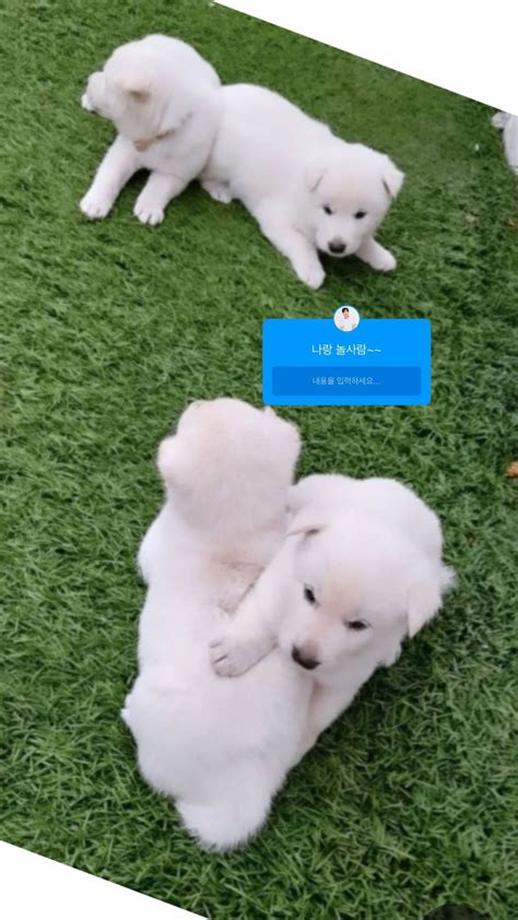 밸런스 게임 파괴자 나인우 Insta 인스티즈 Instiz 이슈 카테고리