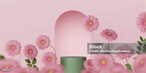 3d 디스플레이 연단 파스텔 핑크 데이지 꽃 배경 거베라 꽃 자연 최소한의 받침대 아름다움 화장품 프리젠 테이션 여성 녹색 복사