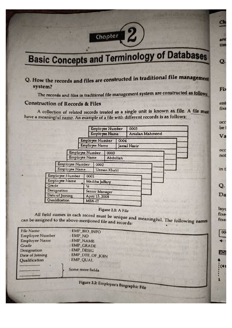 Solution Basic Concepts And Terminology Of Databases Studypool