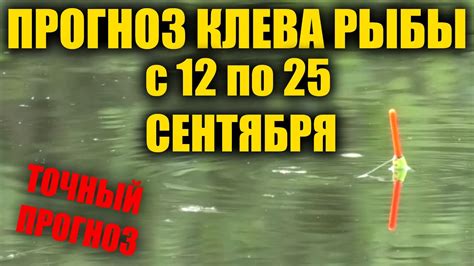 Прогноз клева рыбы на неделю с 12 по 25 Сентября Календарь клева рыбы Календарь рыбака на