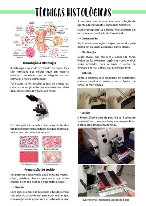Histologia Microscopio Artofit