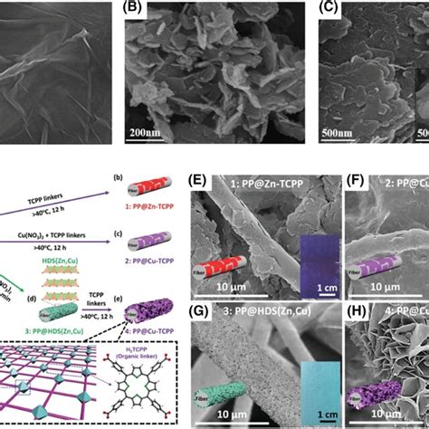 Scanning Electron Microscope Sem Analysis For A Go B Cu Tcpp Download Scientific Diagram