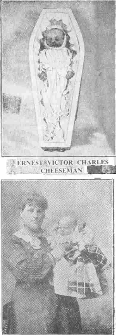 The Poisoned Needle By Eleanor Mcbean