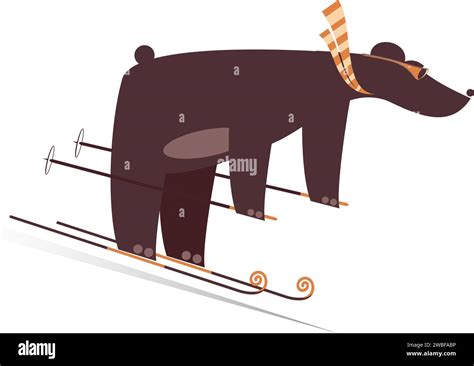 Cartoon Skiing Bear Winter Sport Cartoon Bear Skiing Isolated On White Background Stock