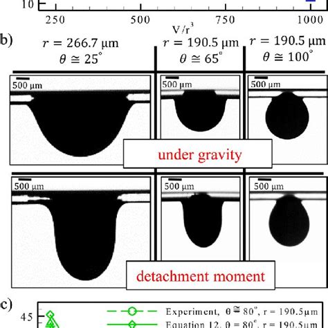 Droplet Detachment Forces From The Experiment And Simulation Are Download Scientific Diagram
