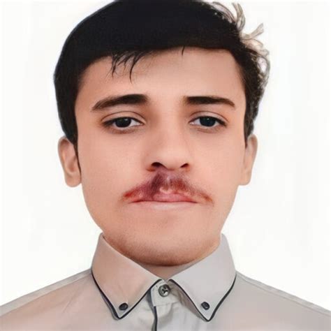 syed talha mahmood software engineer sarhad university of science and it peshawar computer